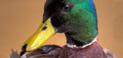 Clear Landing - Christopher Berry's Hiking Blog