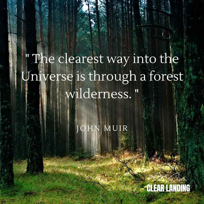 Nature Memes by Clear Landing - Clear Landing